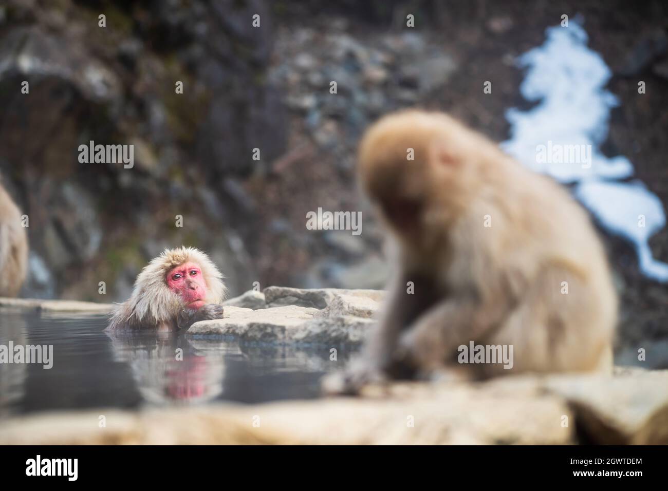 Baby bath temperature hi-res stock photography and images - Alamy