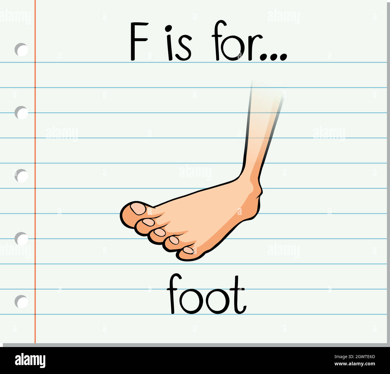 Flashcard letter F is for foot Stock Vector Image & Art - Alamy