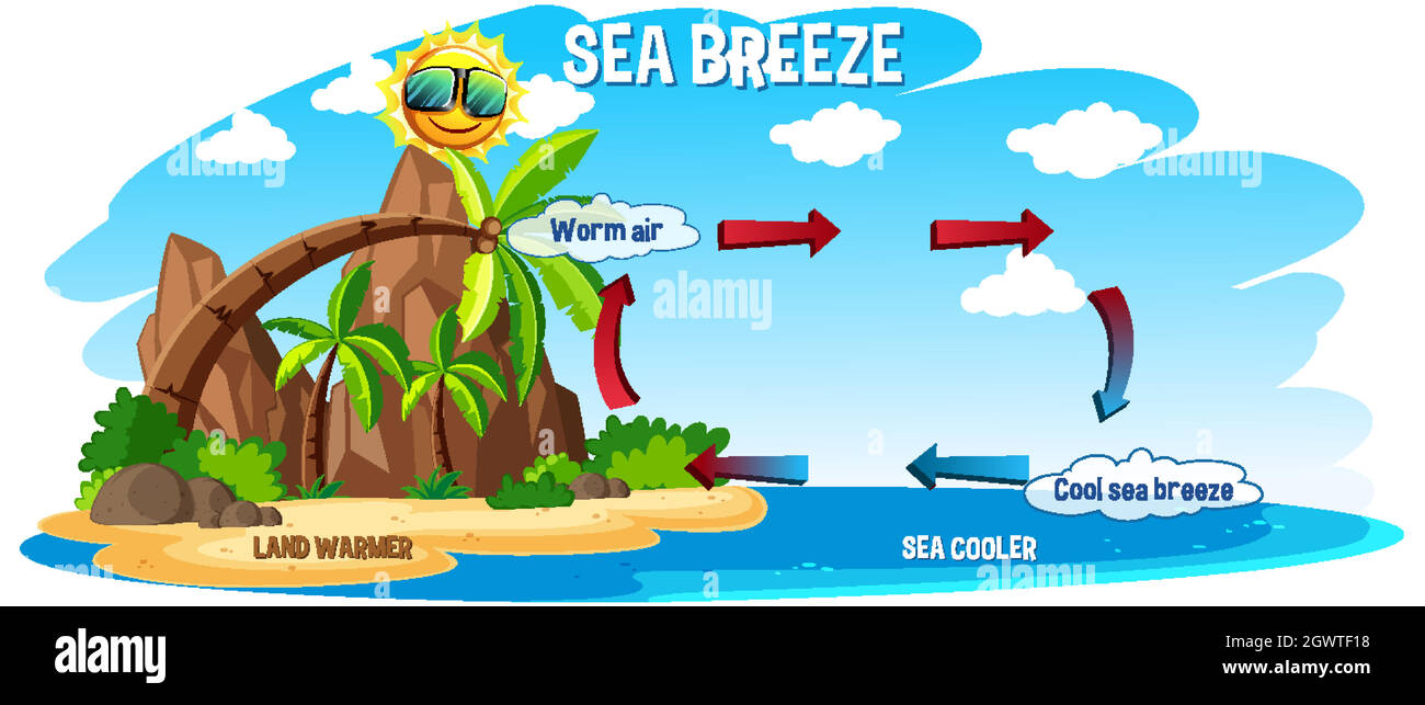 Diagram showing circulation of sea breeze Stock Vector Image & Art - Alamy