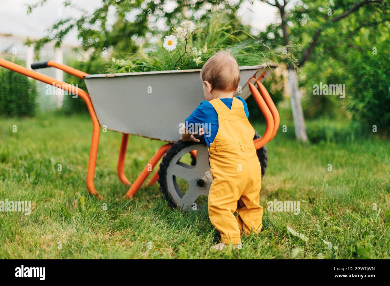 Rear View Of Boy Playing On Land Stock Photo - Alamy