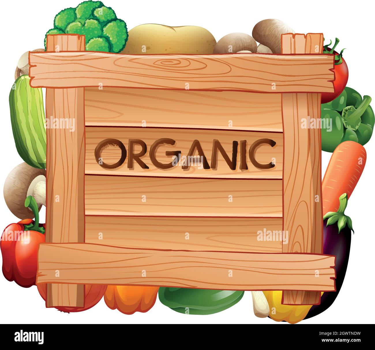 Organic sign and many types of vegetables Stock Vector Image & Art - Alamy