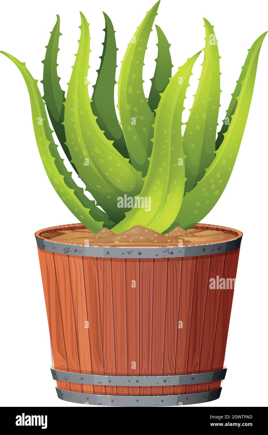 Medical plant art Stock Vector Images - Alamy