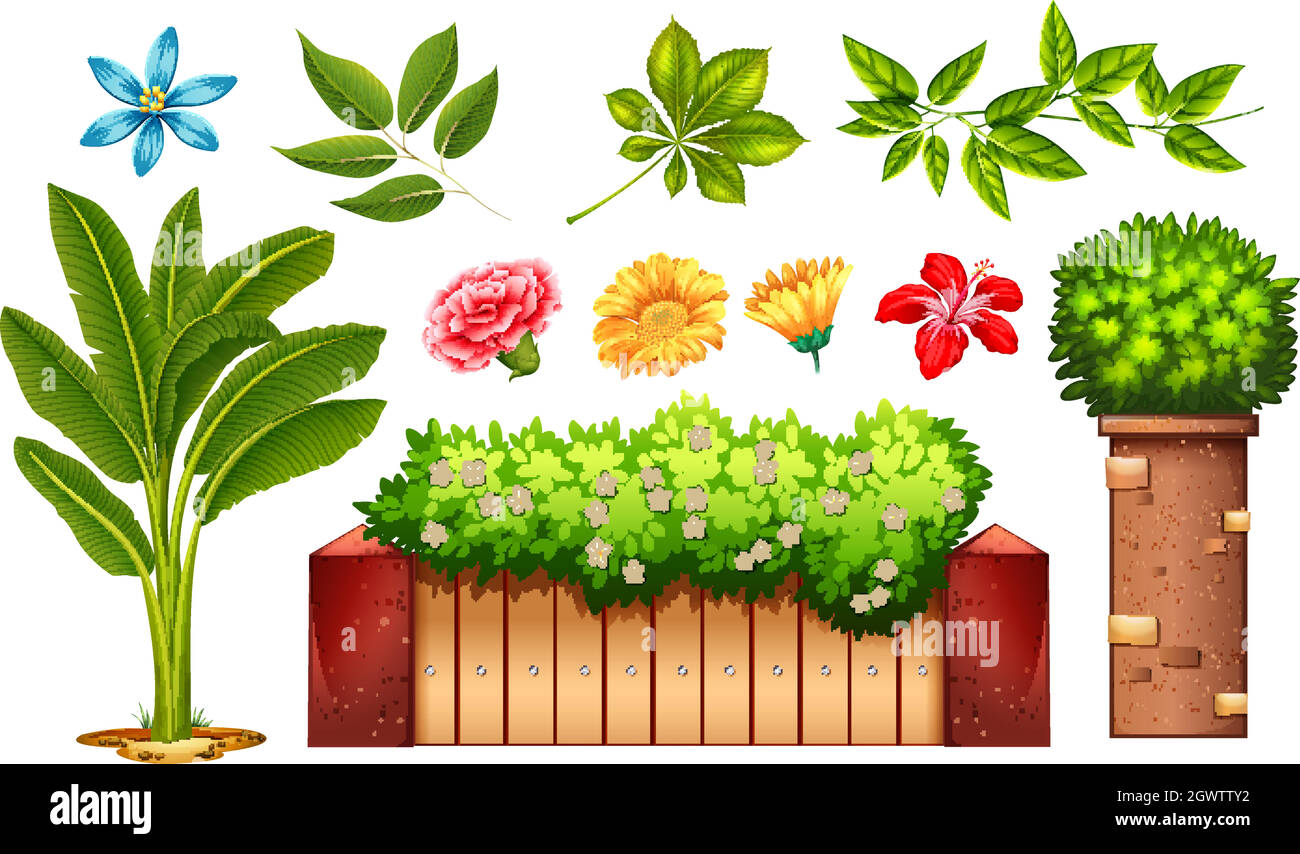 Beautiful botanic garden Stock Vector Images - Alamy