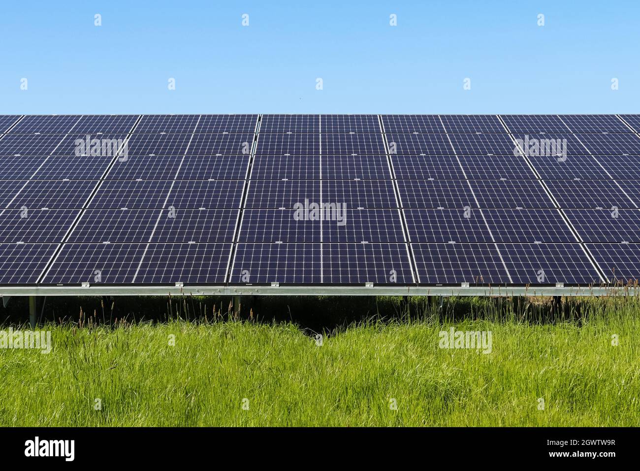 Generating Clean Energy With Solar Modules In A Big Park In Northern ...