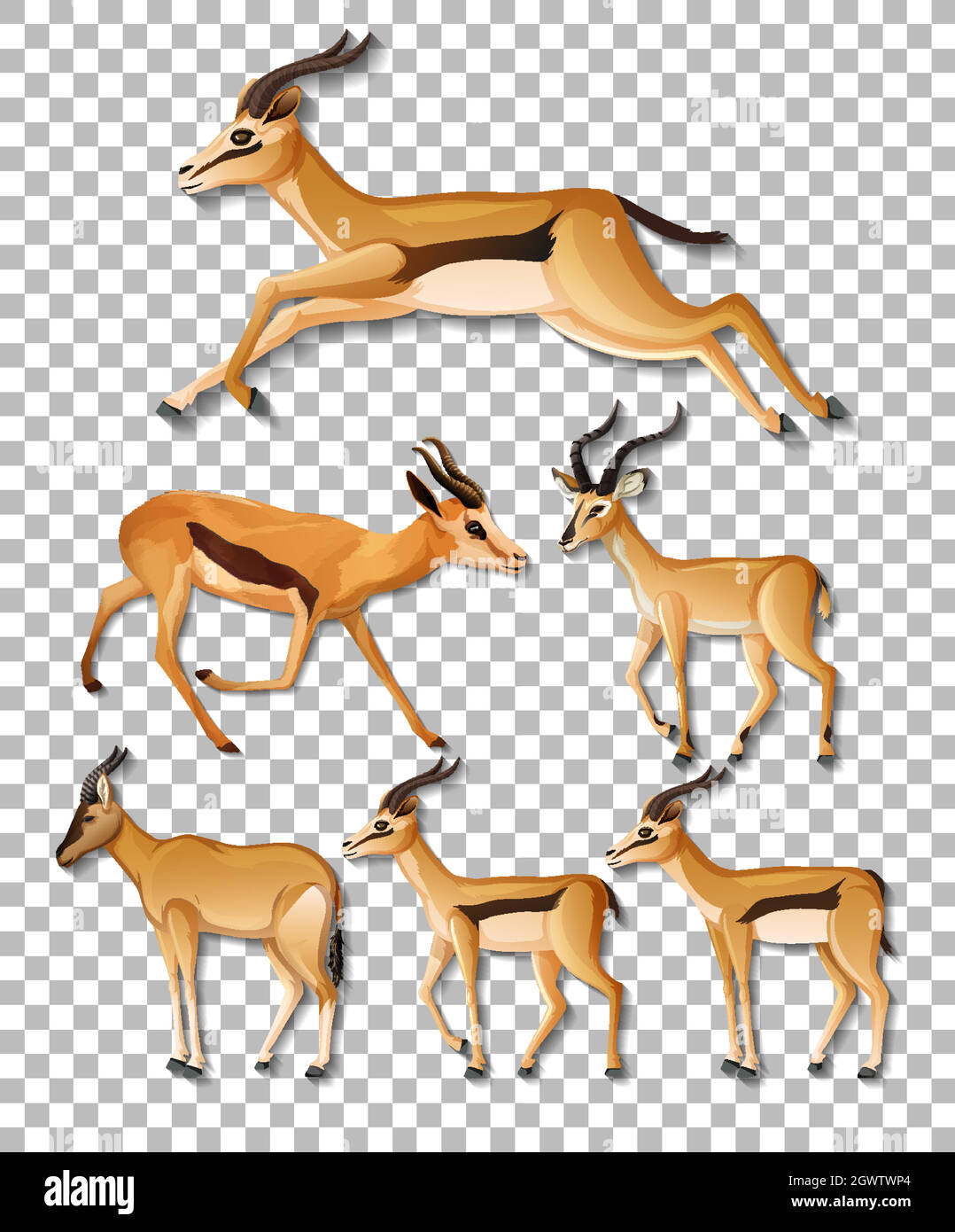 Set of different sides of impala isolated on transparent background ...