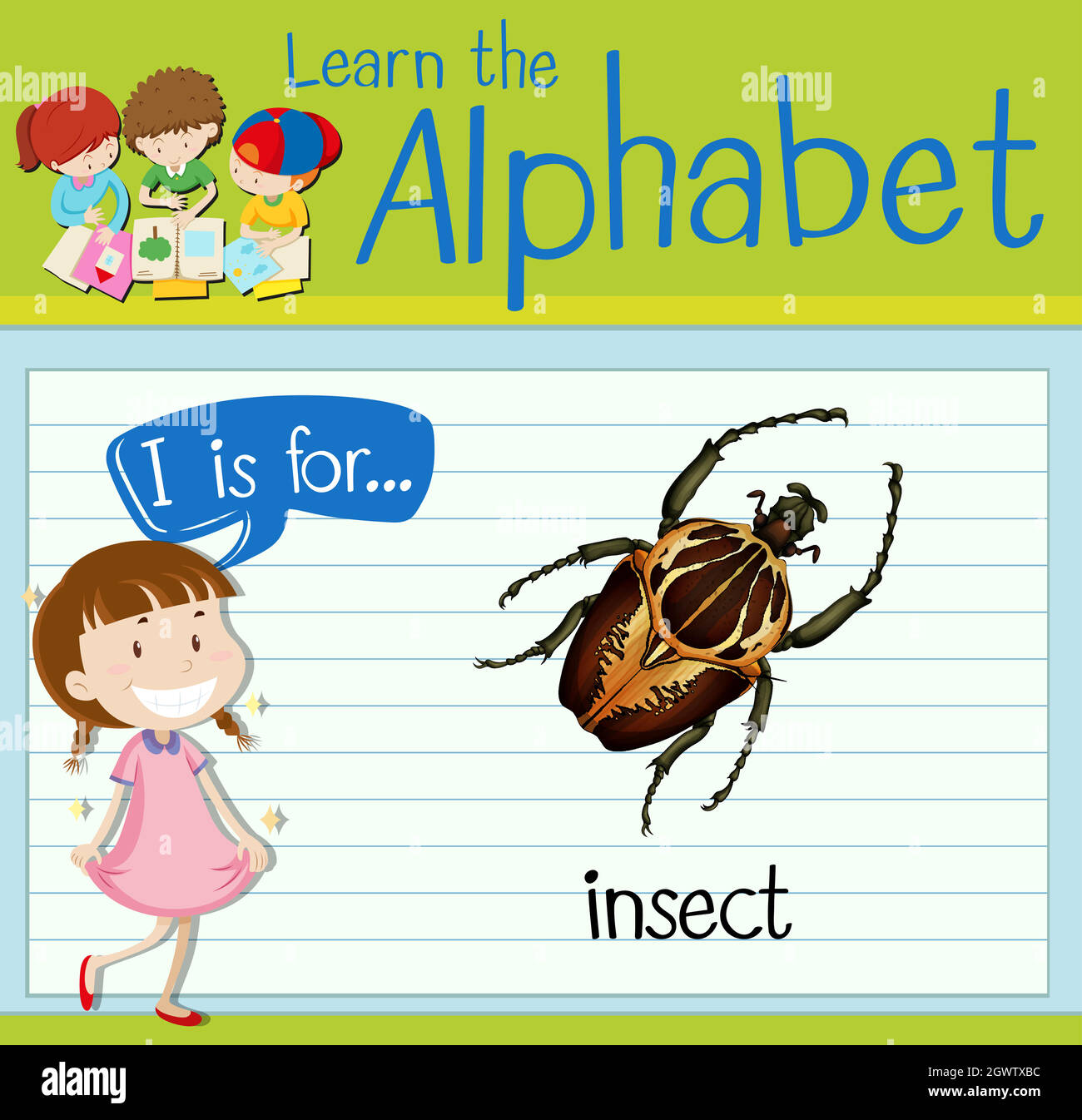 Flashcard letter I is for insect Stock Vector Image & Art - Alamy