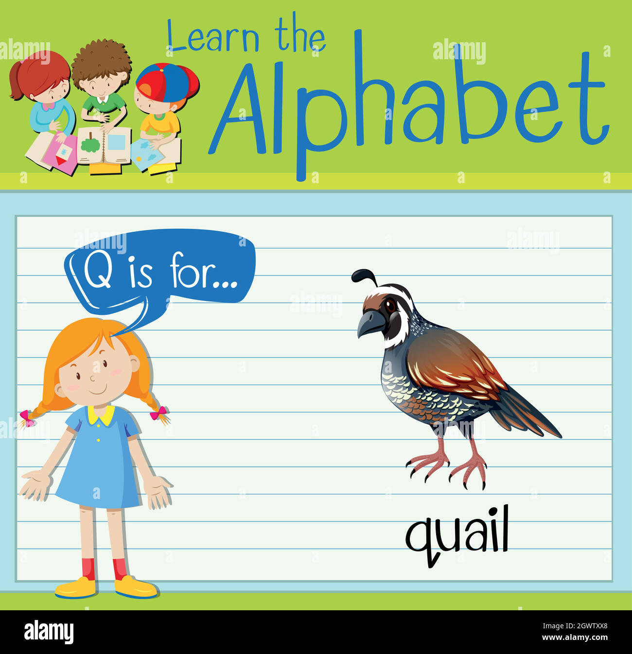 Flashcard letter Q is for quail Stock Vector Image & Art - Alamy