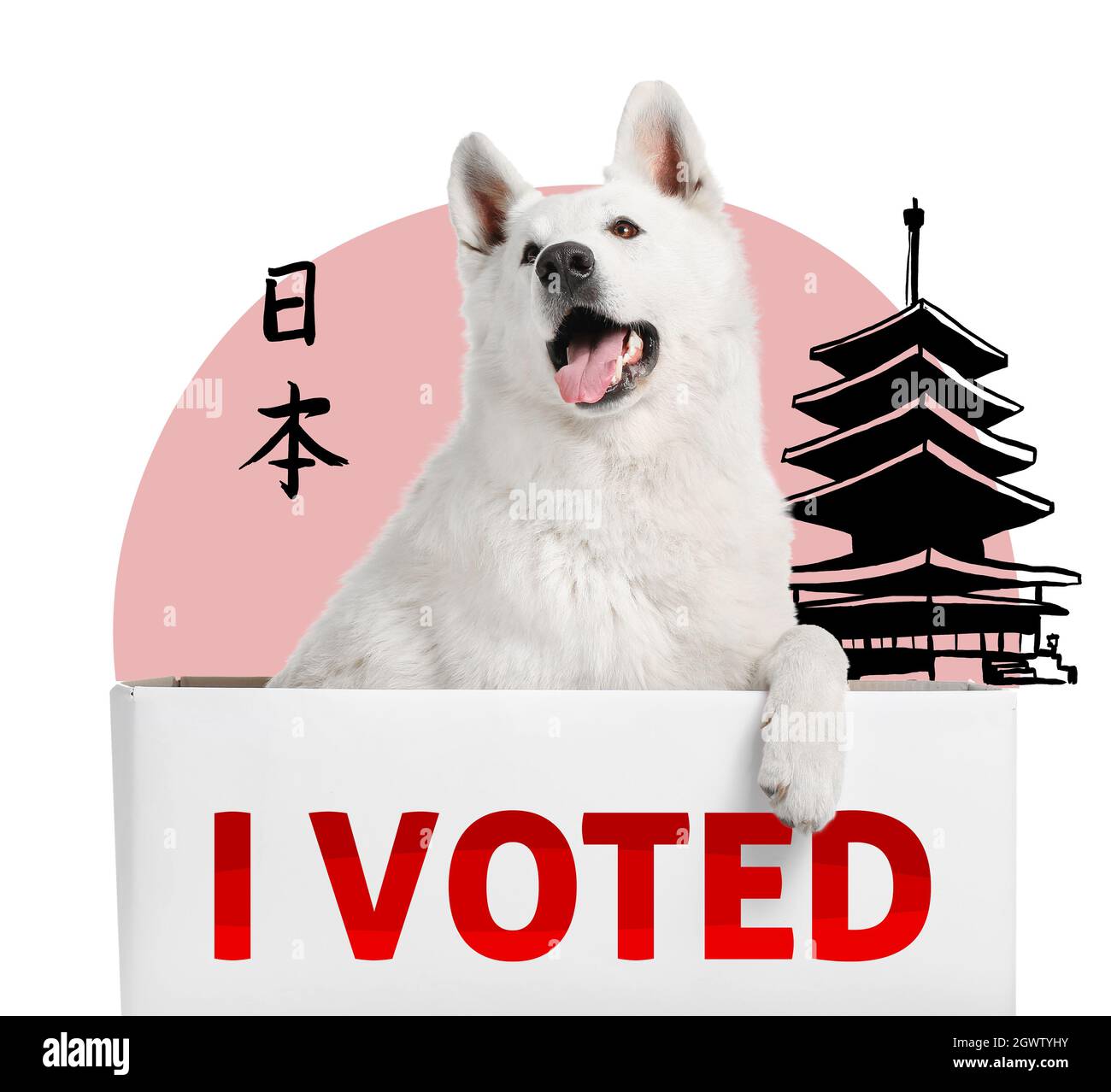 Cute funny dog and poster with text I VOTED on white background Stock ...