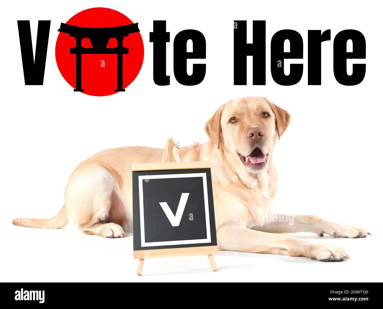 Adorable dog with chalkboard and text VOTE HERE on white background ...