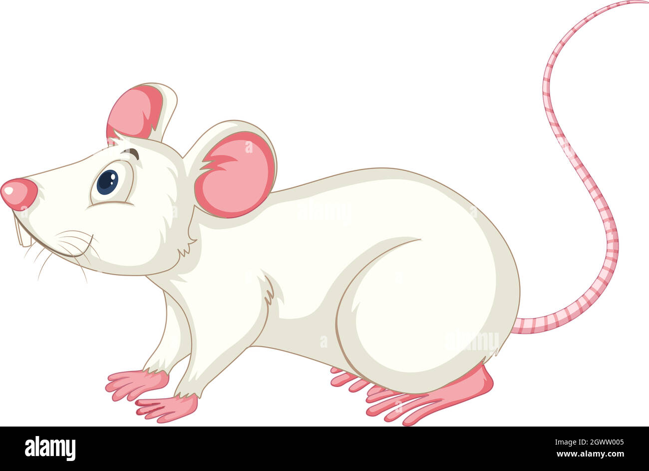 White rat on white background Stock Vector Image & Art - Alamy