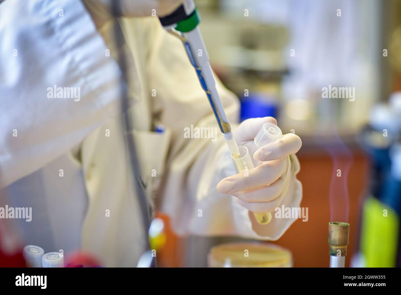 Culturing hi-res stock photography and images - Alamy
