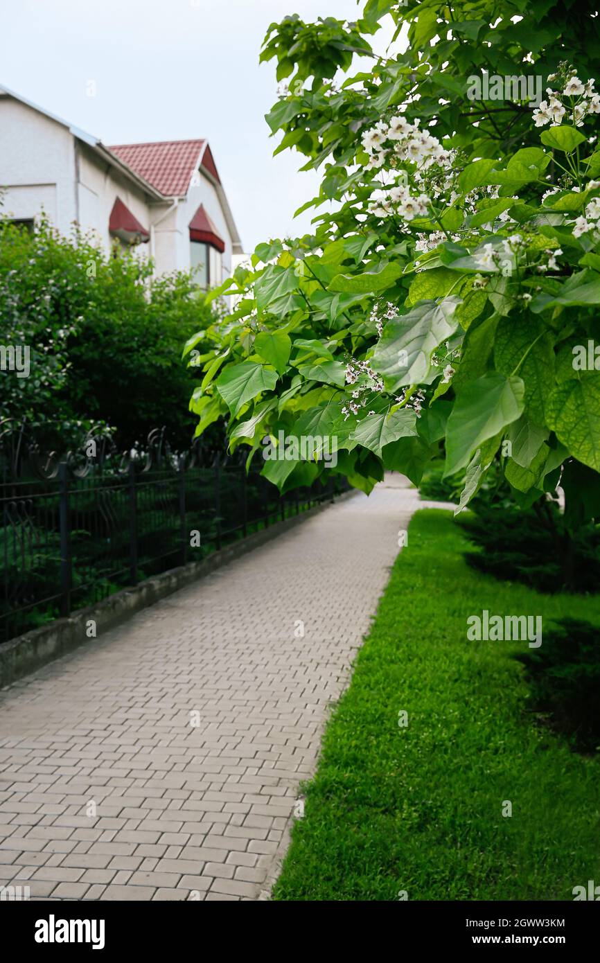 View of modern building and beautiful landscape design Stock Photo - Alamy
