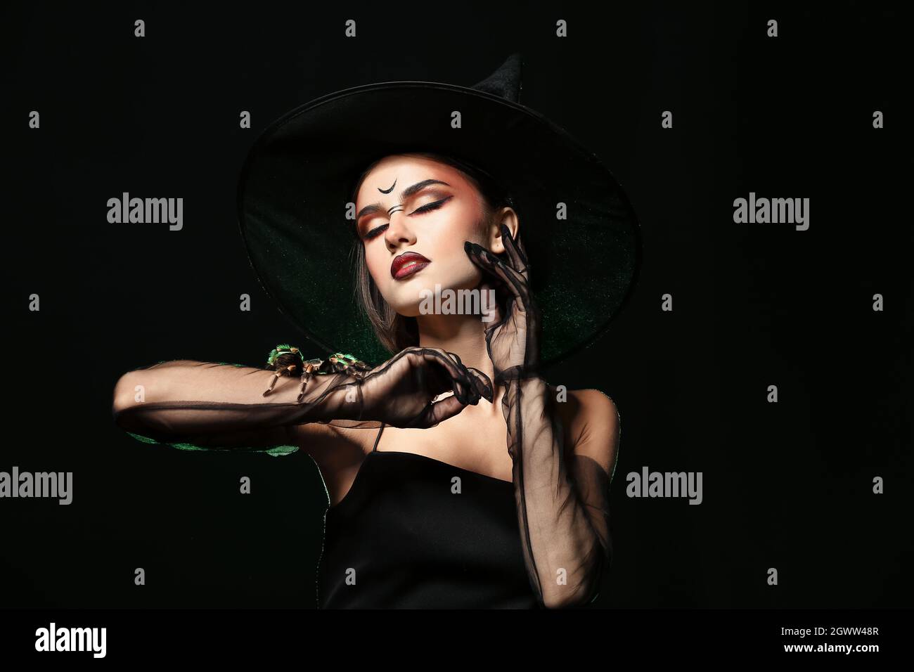 Young witch with spider on dark background Stock Photo - Alamy