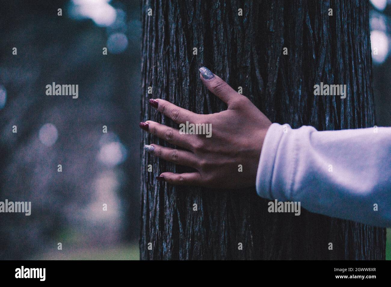 Hand on tree hi-res stock photography and images - Alamy
