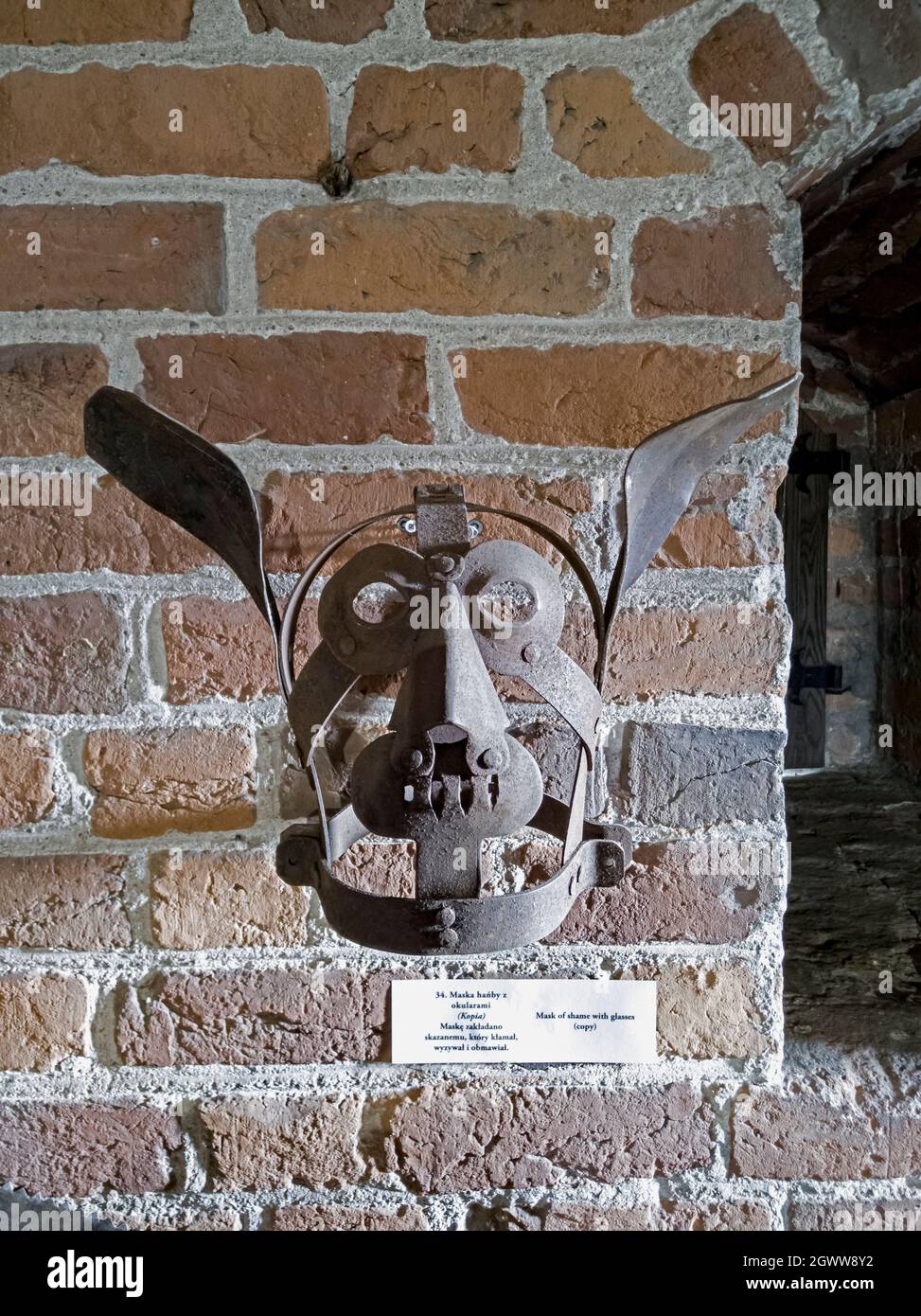 Mask of shame with glasses hi-res stock photography and images - Alamy