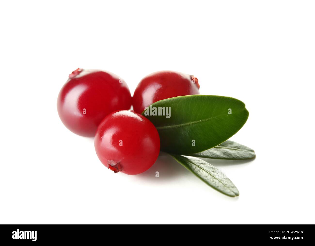 Ripe juicy cranberries on hi-res stock photography and images - Alamy