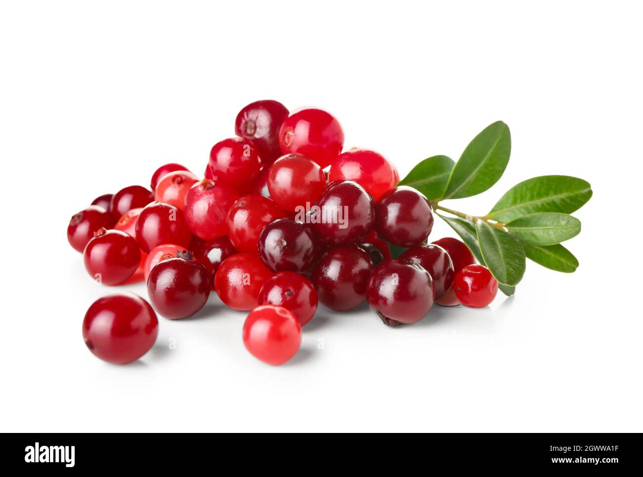 Pile fresh ripe cranberries Cut Out Stock Images & Pictures - Alamy
