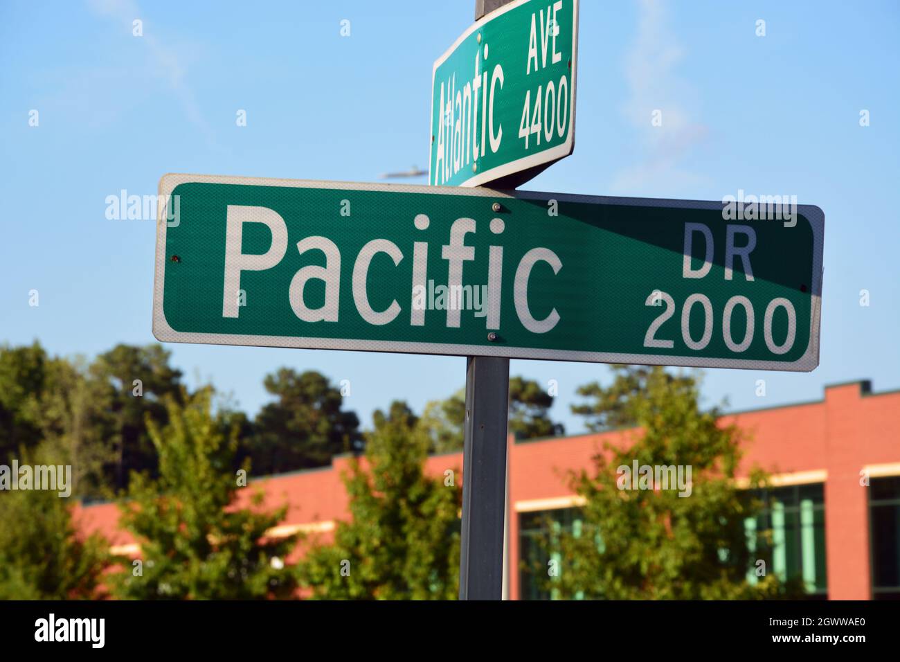 Close up of the Pacific Drive road sign in Raleigh, North Carolina ...