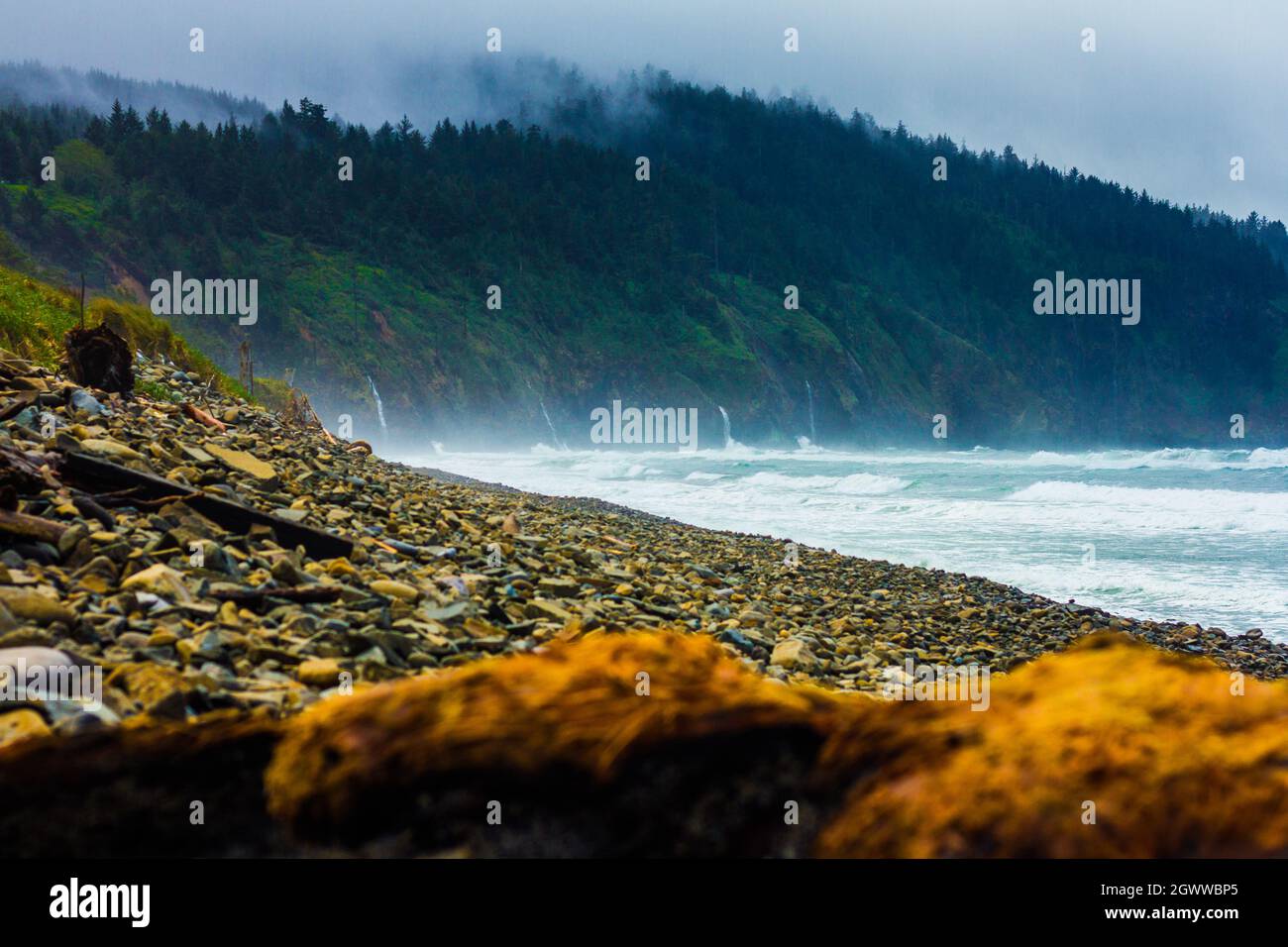 Forest meets mountain hi-res stock photography and images - Alamy