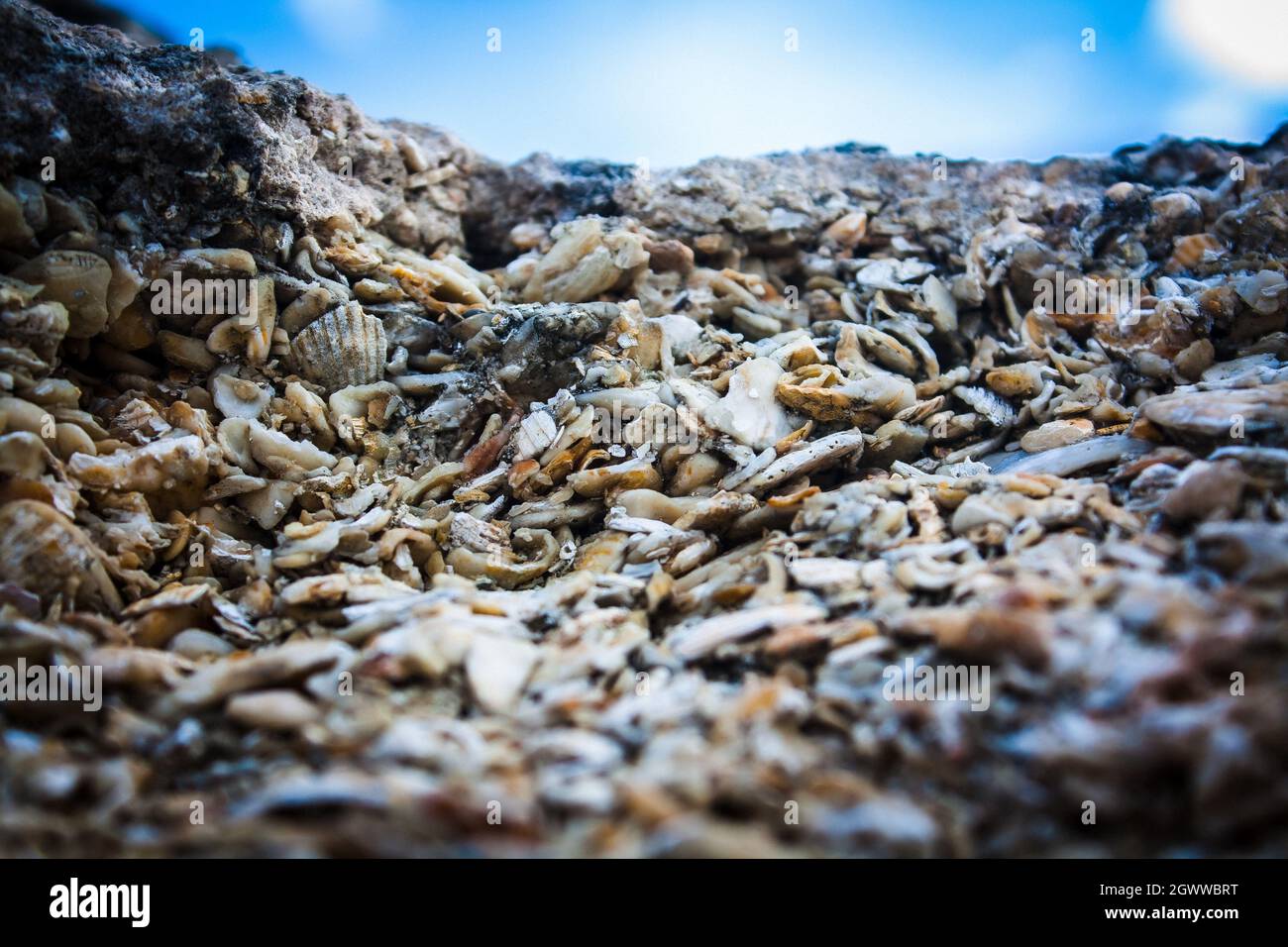 Shell made bricks hi-res stock photography and images - Alamy