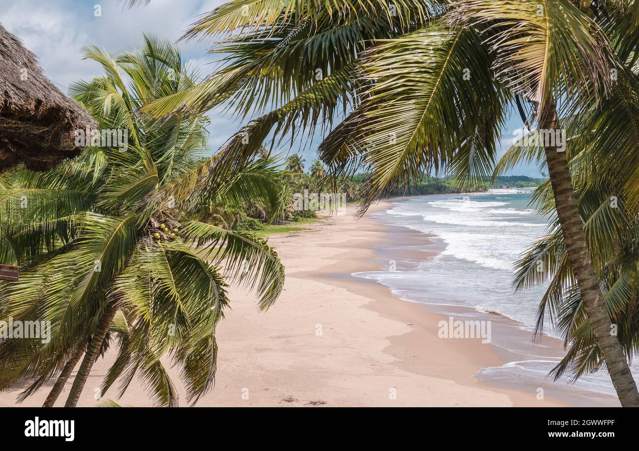 View Of The Beach With Palm Trees In Axim Ghana West Africa Stock Photo ...