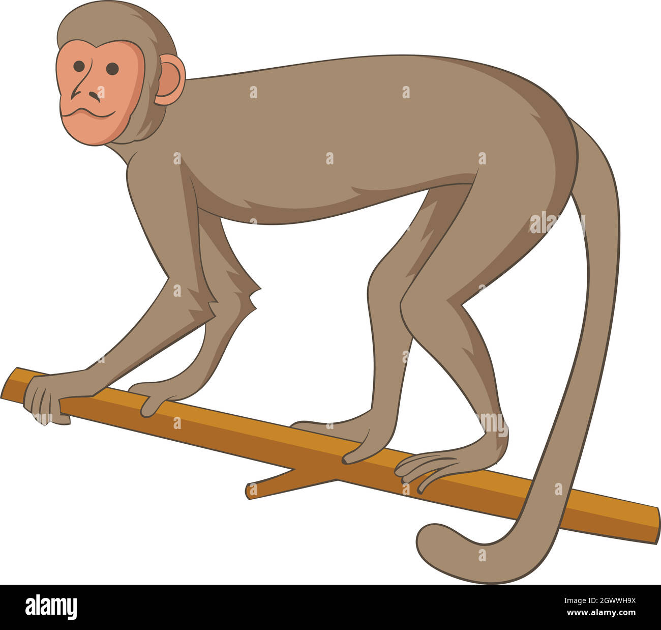 Macaque icon, cartoon style Stock Vector Image & Art - Alamy