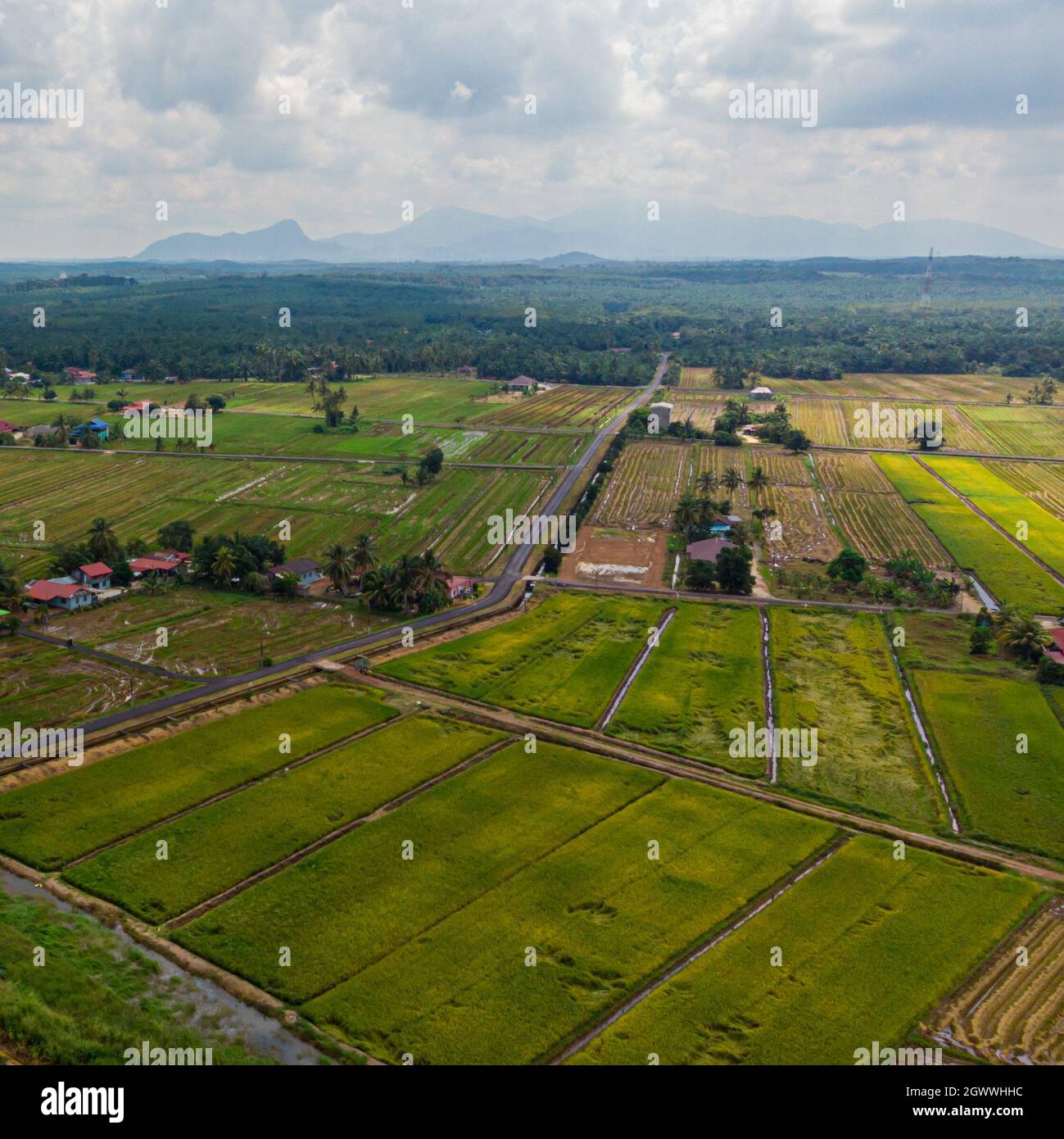Rambai High Resolution Stock Photography and Images - Alamy