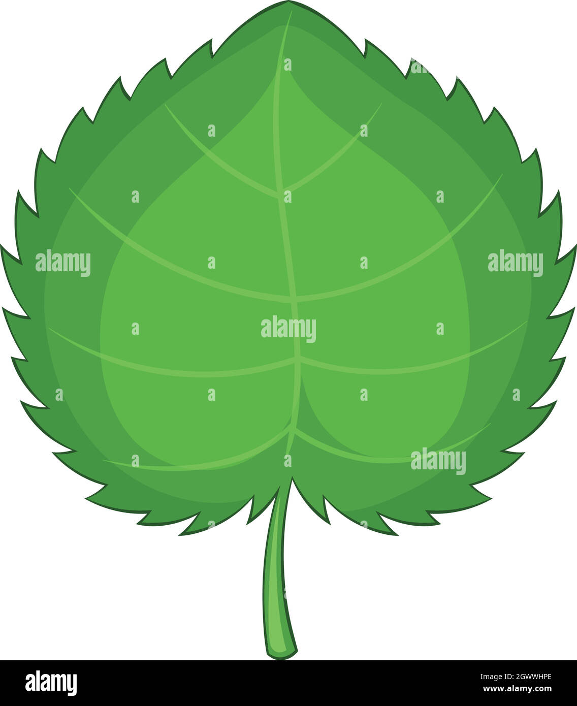 Alder leaf icon, cartoon style Stock Vector Image & Art - Alamy