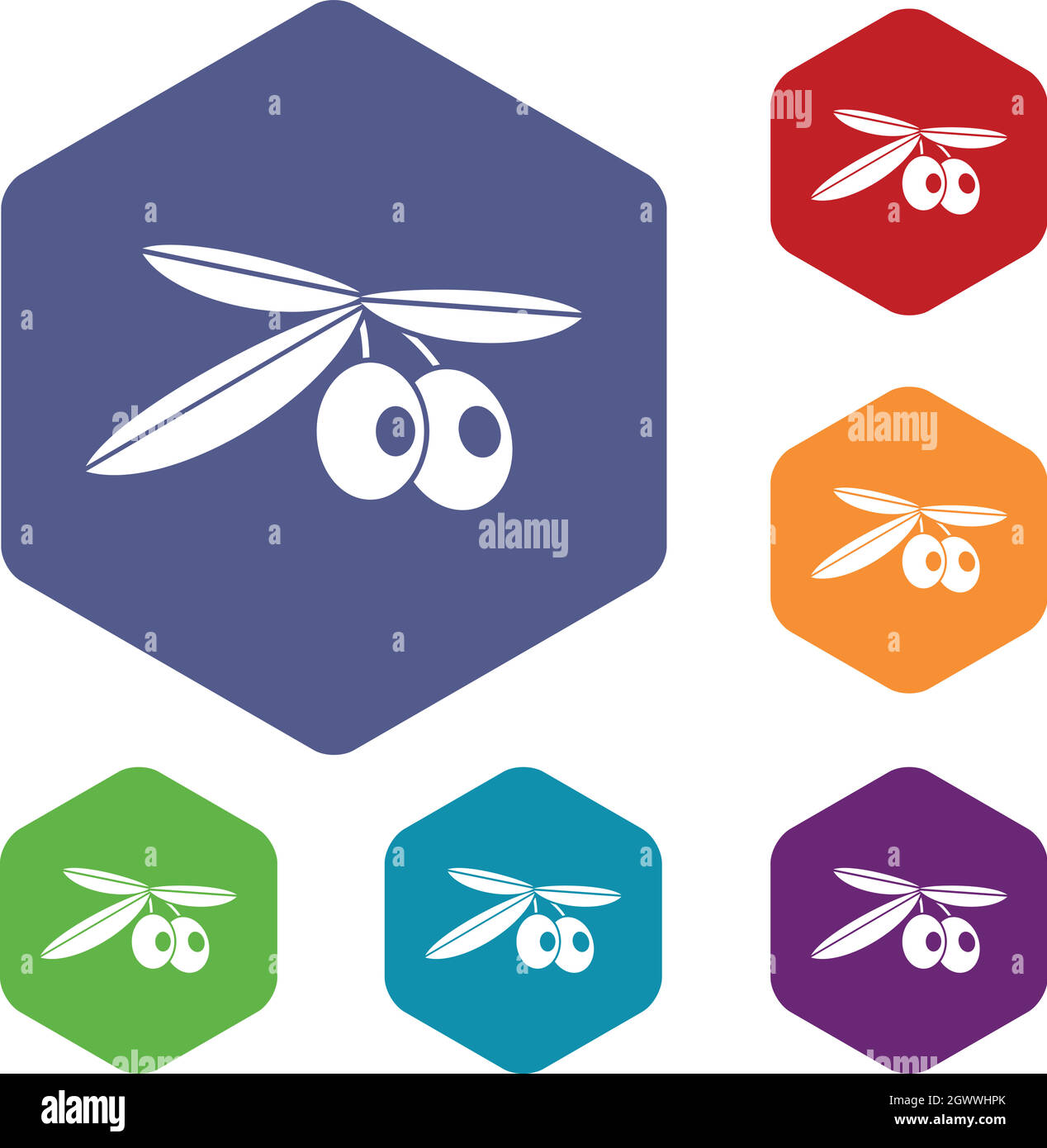 Olives icons set Stock Vector Image & Art - Alamy