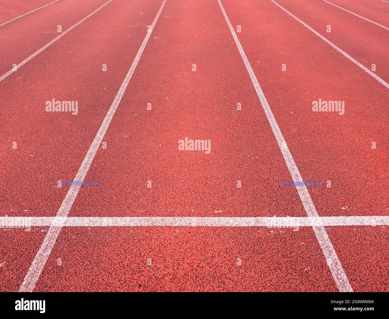 The Oval Stadium High Resolution Stock Photography and Images - Alamy