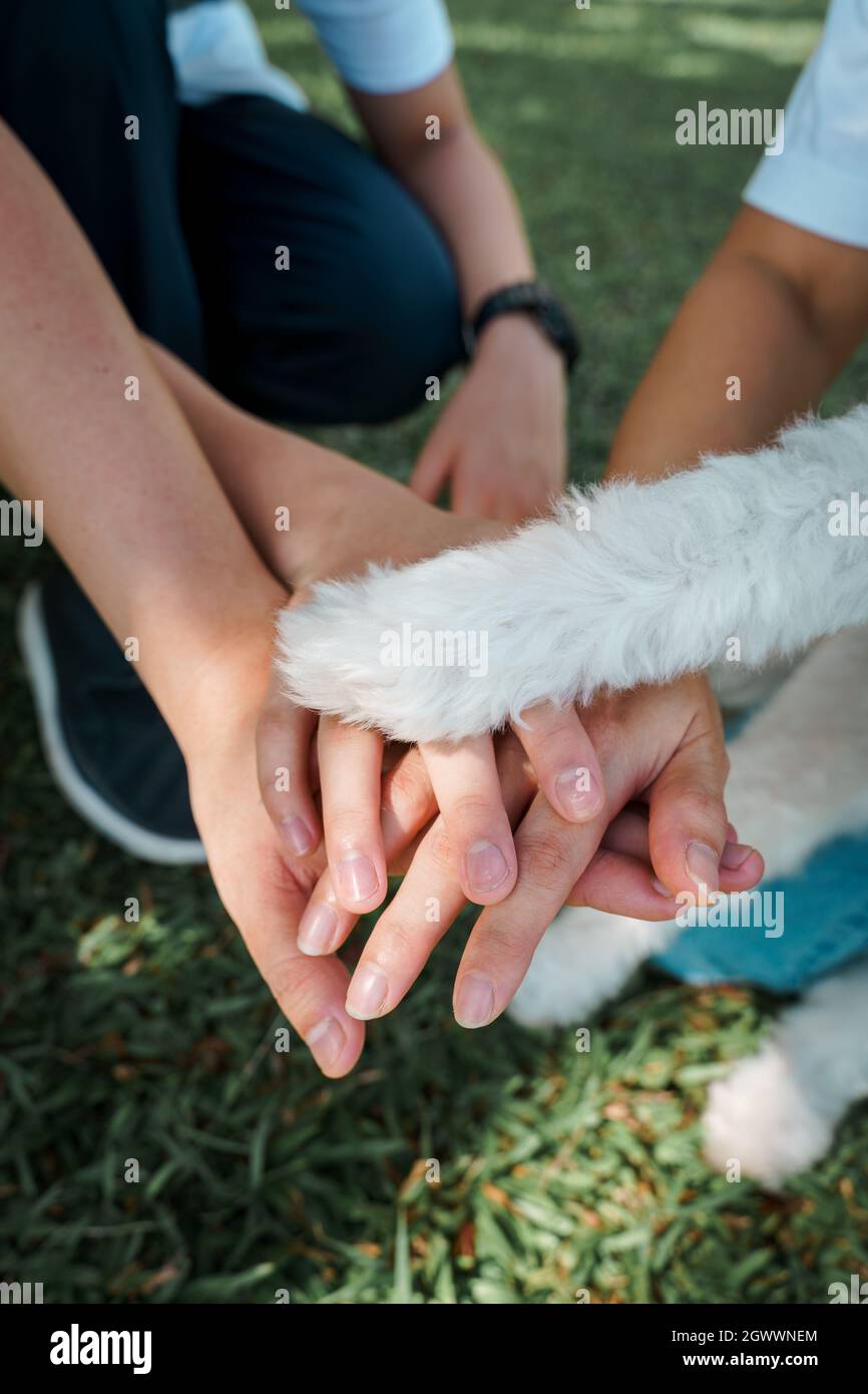 Child feet dog hi-res stock photography and images - Alamy