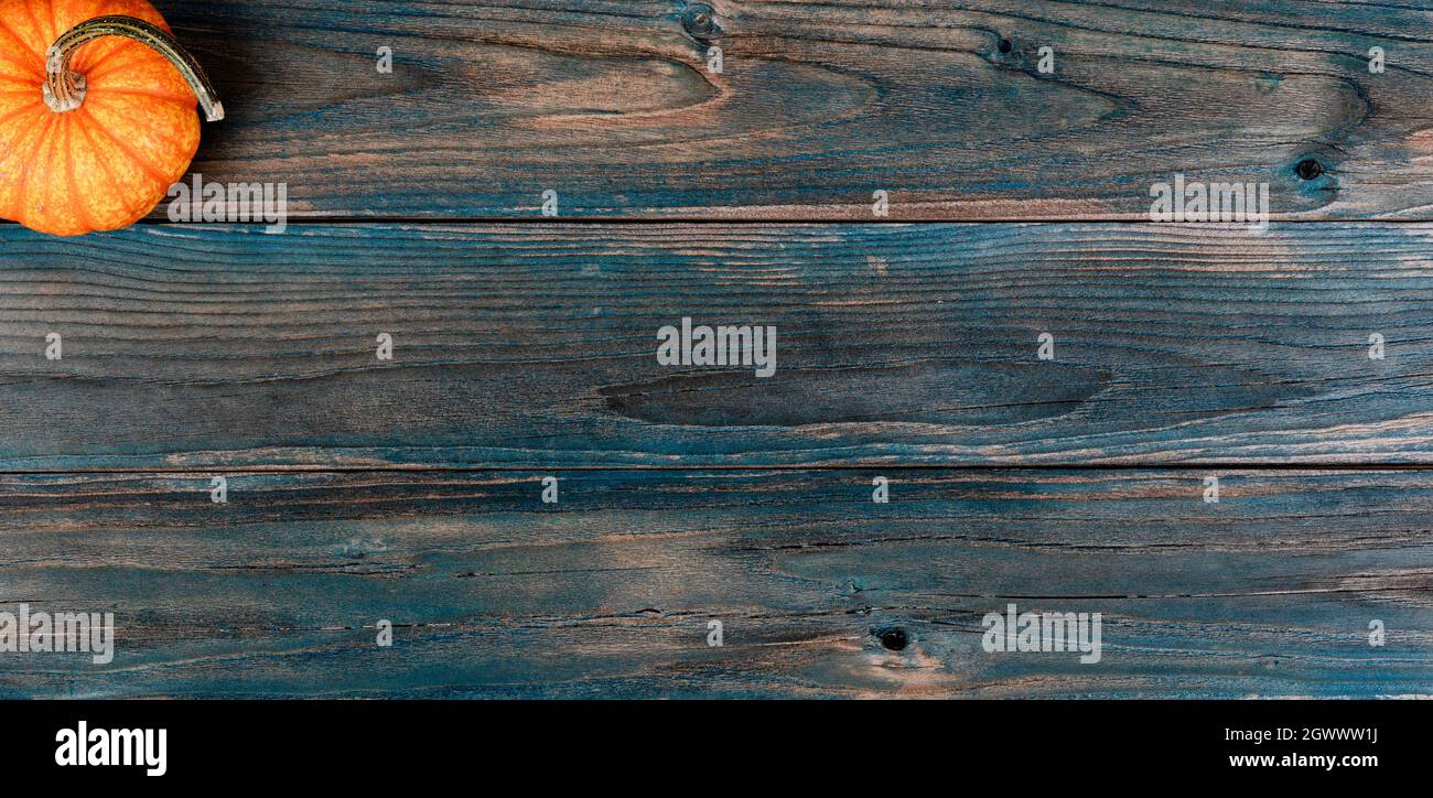 Overhead view of a real pumpkin in corner on blue weathered wooden ...