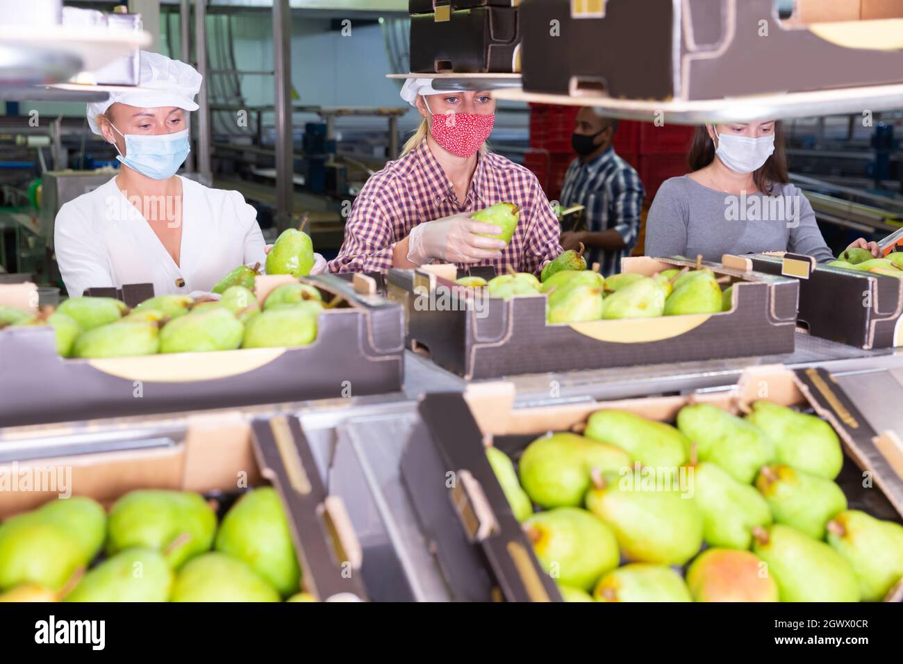 Pears storage hi-res stock photography and images - Alamy