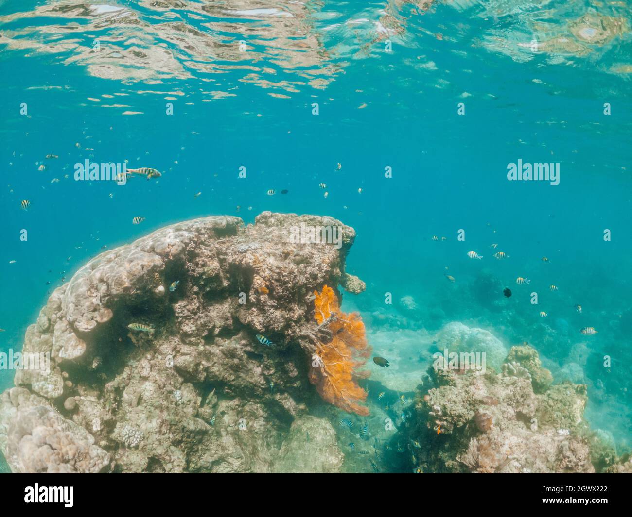 Lipah bali hi-res stock photography and images - Alamy