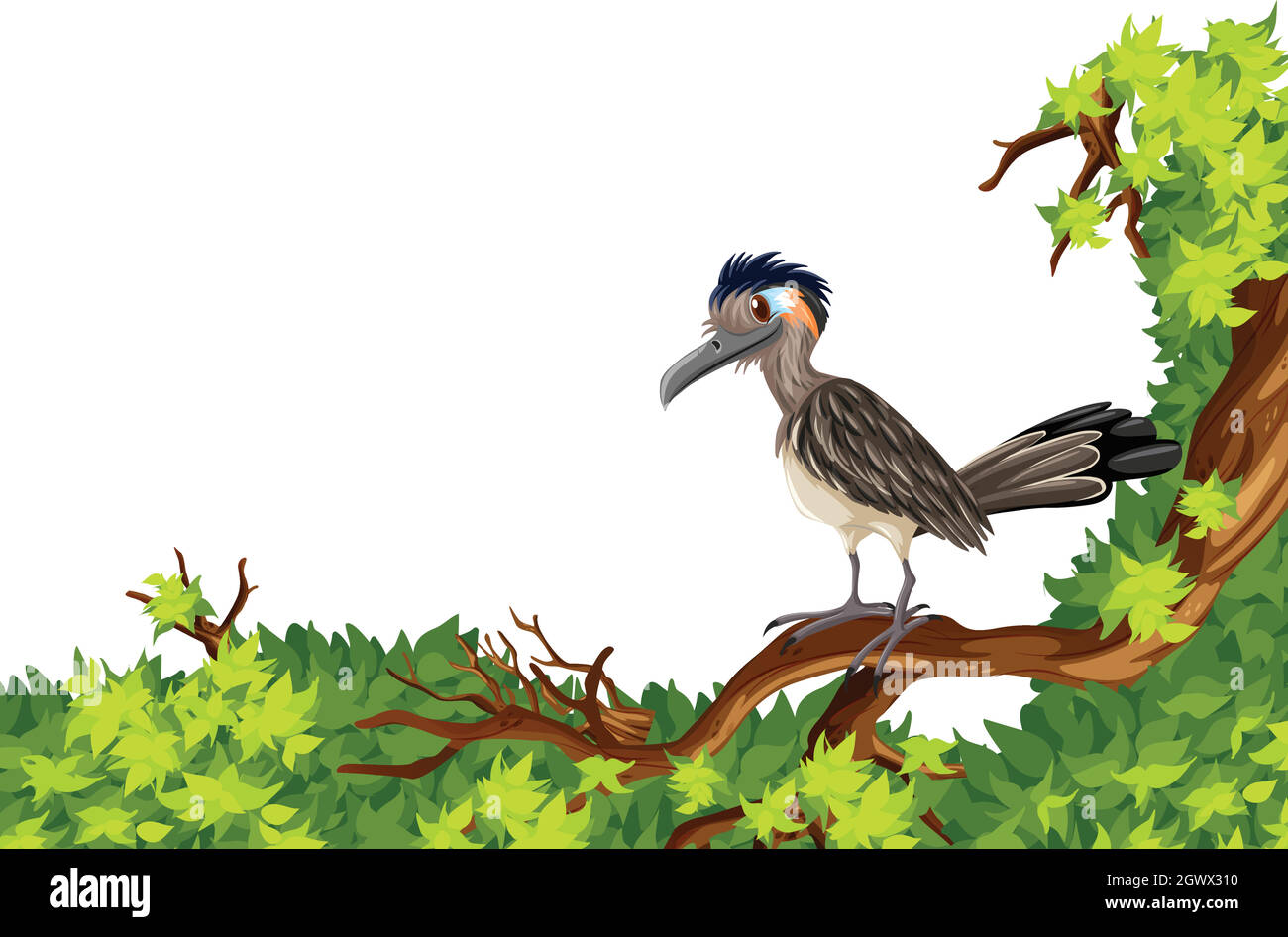 Wildlife wild bird Stock Vector Images - Alamy