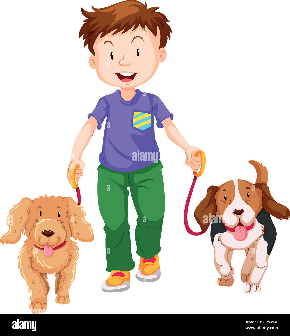 Boy walking two dogs Stock Vector Image & Art - Alamy