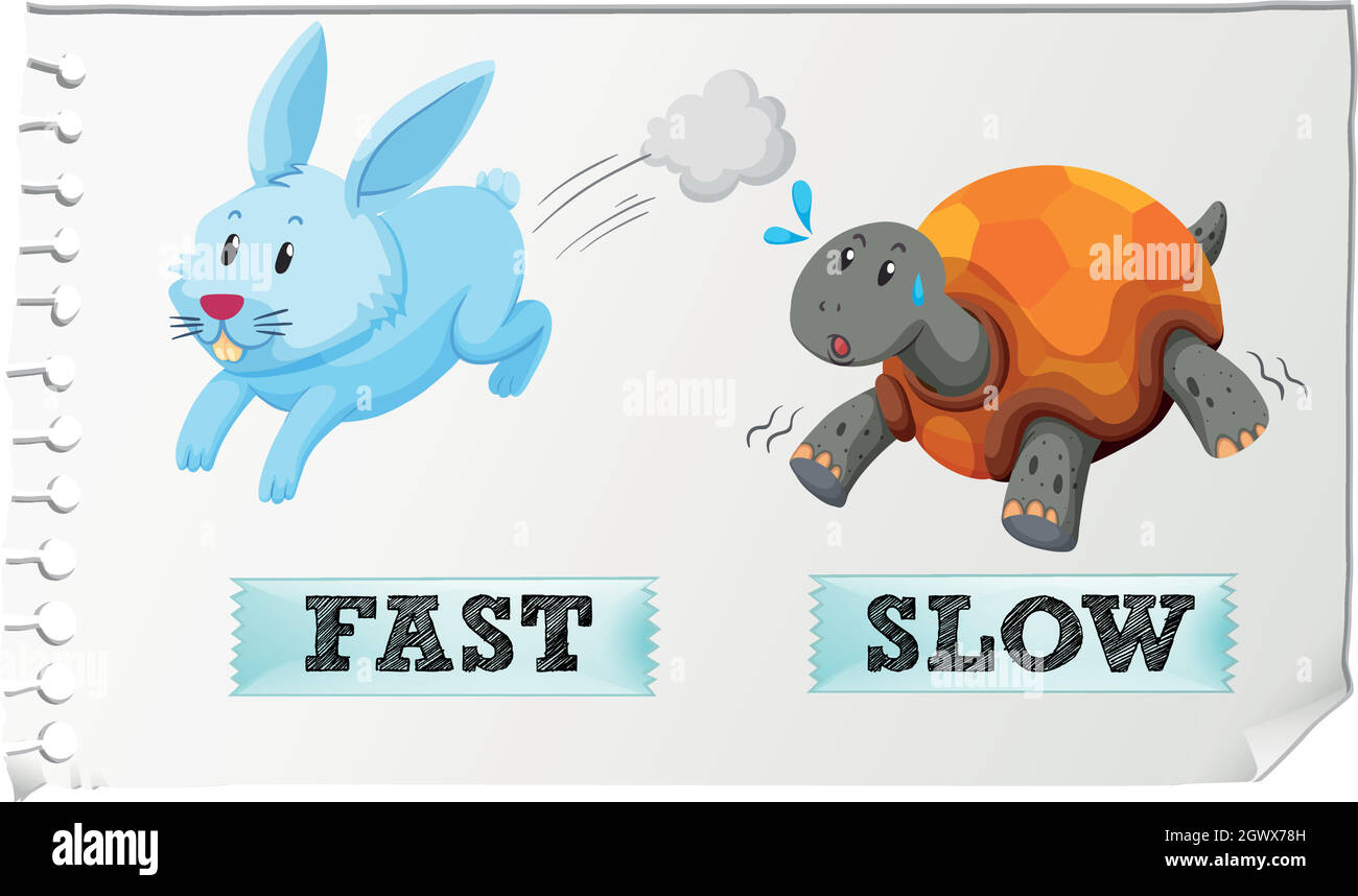 Opposite adjectives fast and slow Stock Vector Image & Art - Alamy