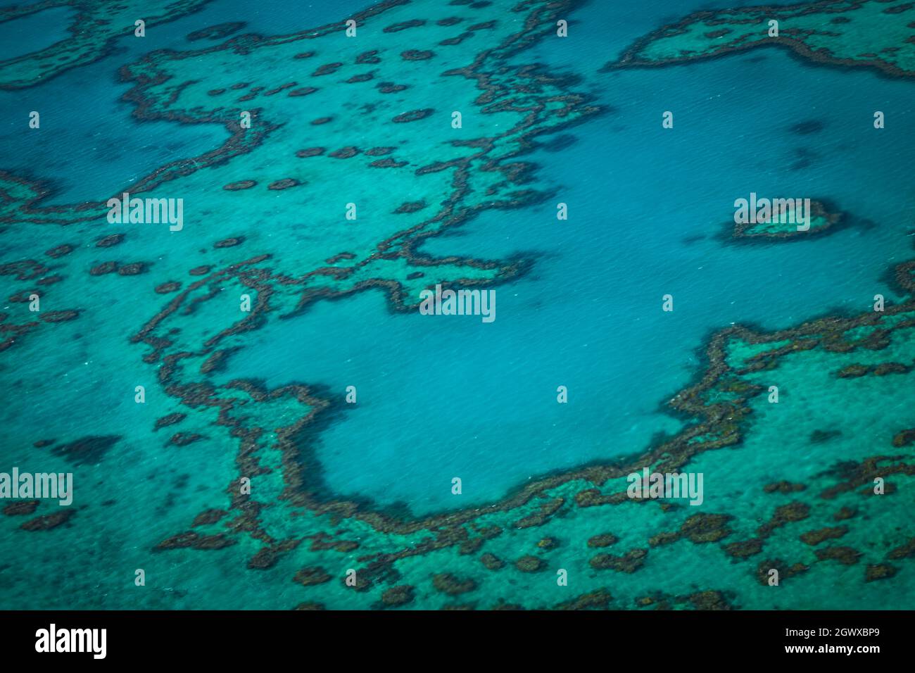 New zealand coral reef hi-res stock photography and images - Alamy