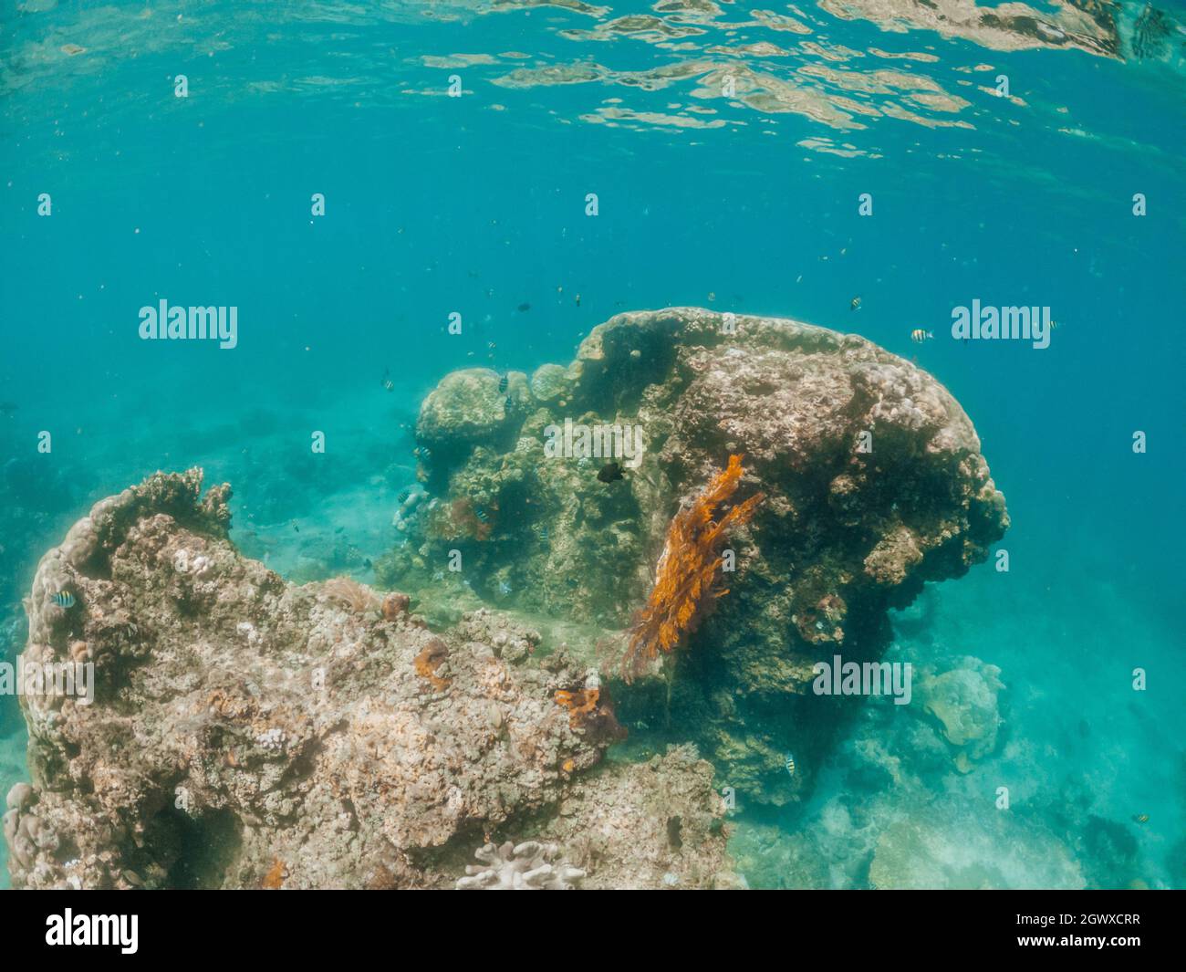 Lipah bali hi-res stock photography and images - Alamy