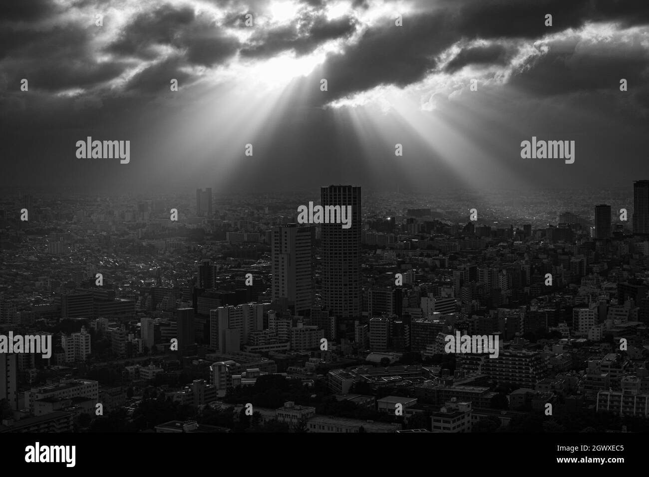 City skyline, sun beams hi-res stock photography and images - Alamy