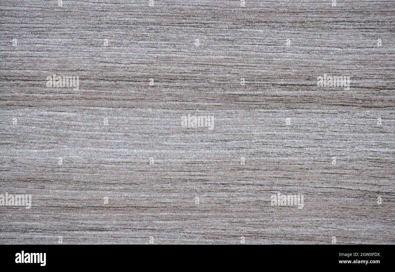 Close-up of ash-gray color of natural old wood with a striped pattern ...