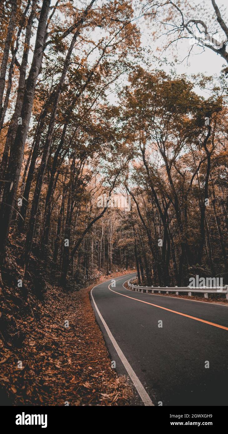 Long driveway hi-res stock photography and images - Alamy