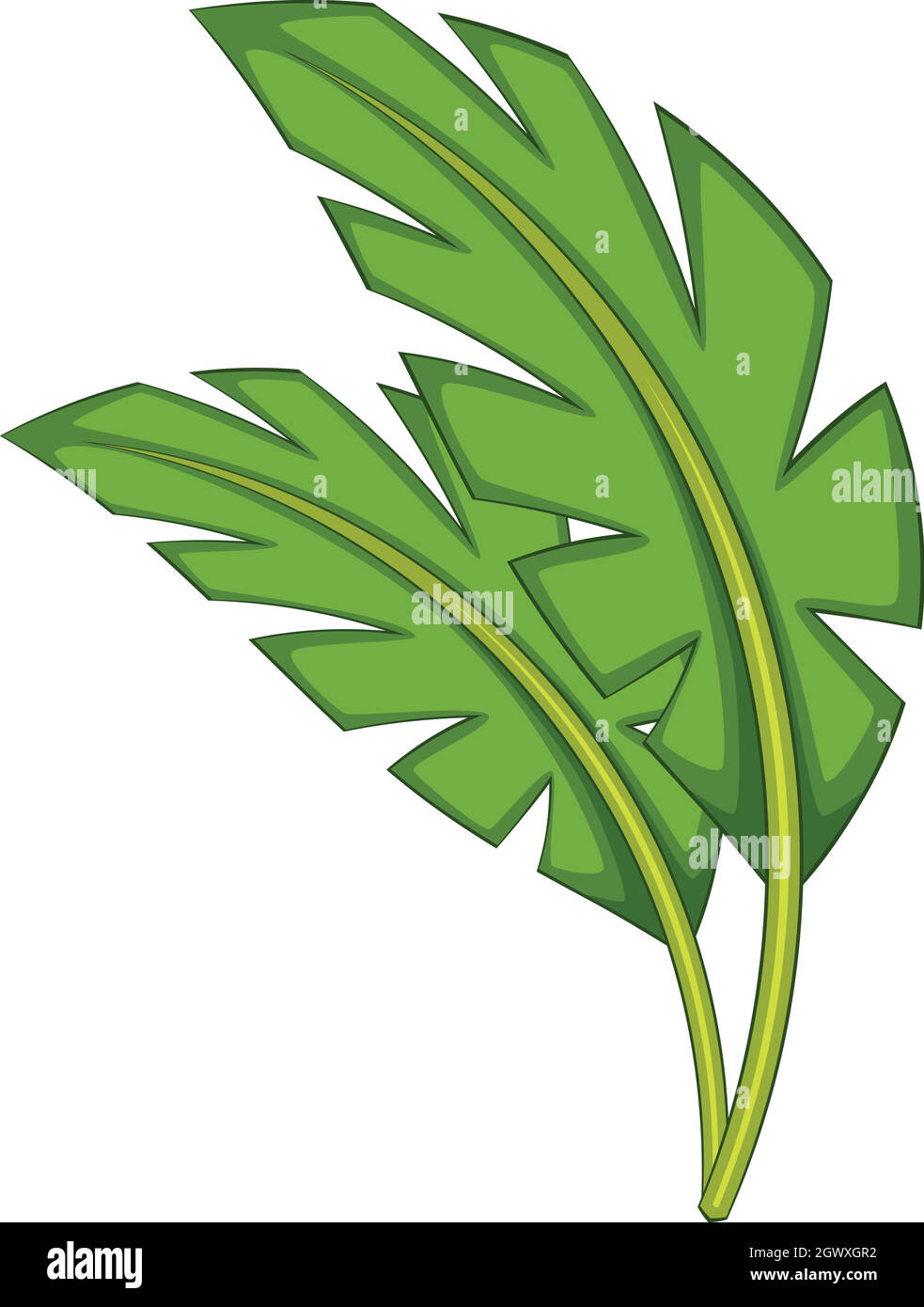Branch leaves foliage icon Stock Vector Images - Alamy