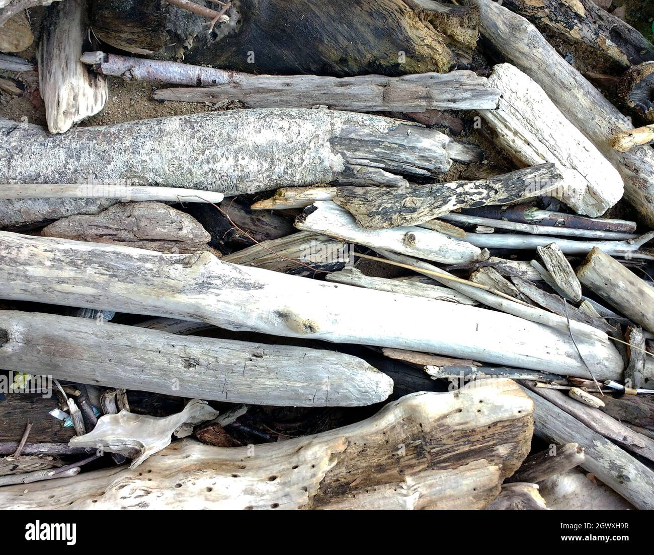Bleached grey driftwood logs Stock Photo - Alamy