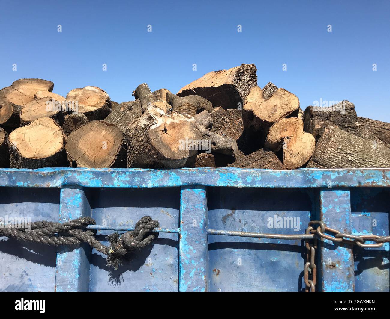 Pile Of Logs Of Olive Wood Stock Photo - Alamy