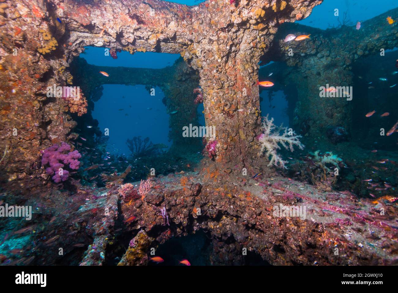 Reef block hi-res stock photography and images - Alamy