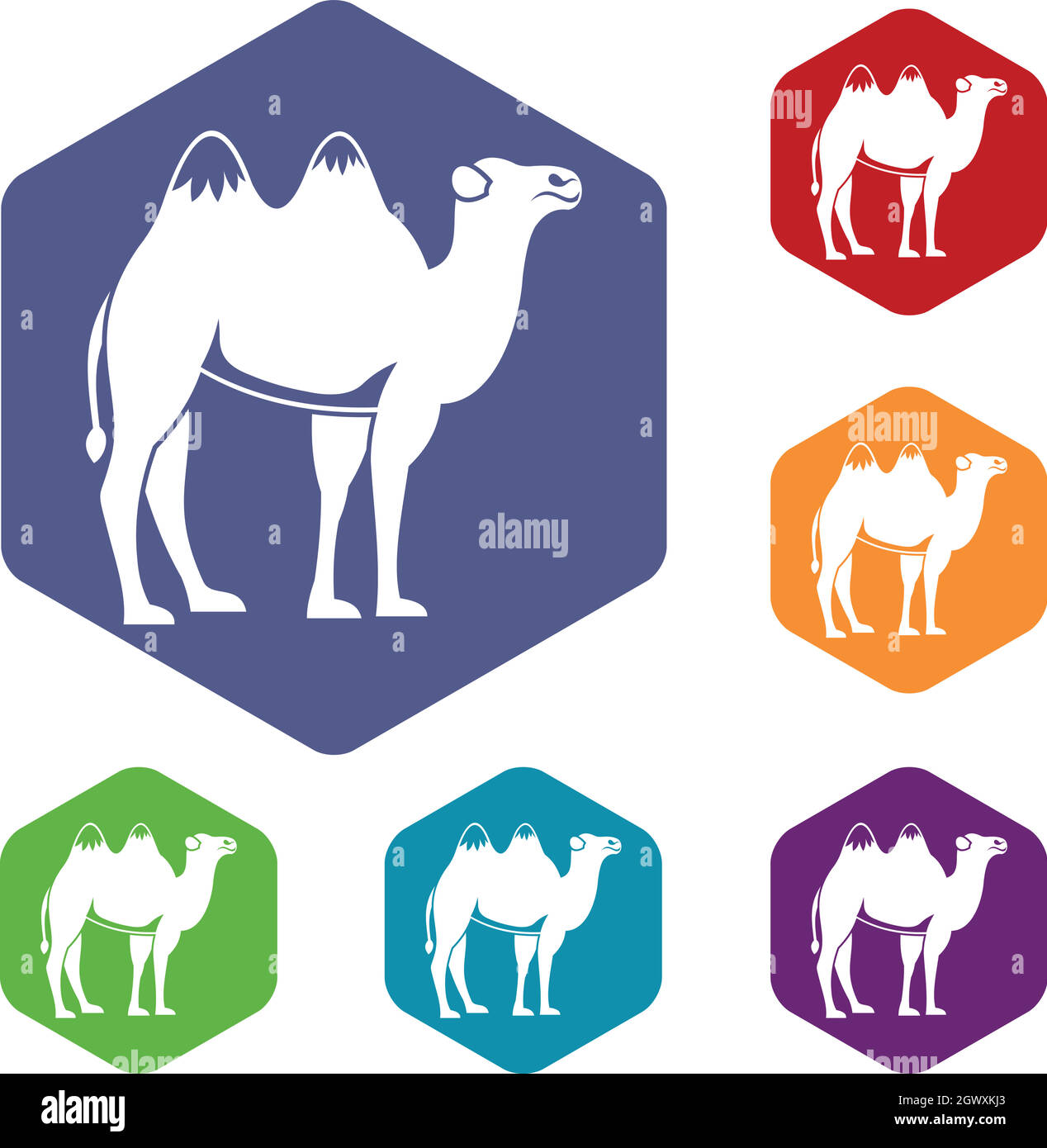 Camel icons set Stock Vector Image & Art - Alamy