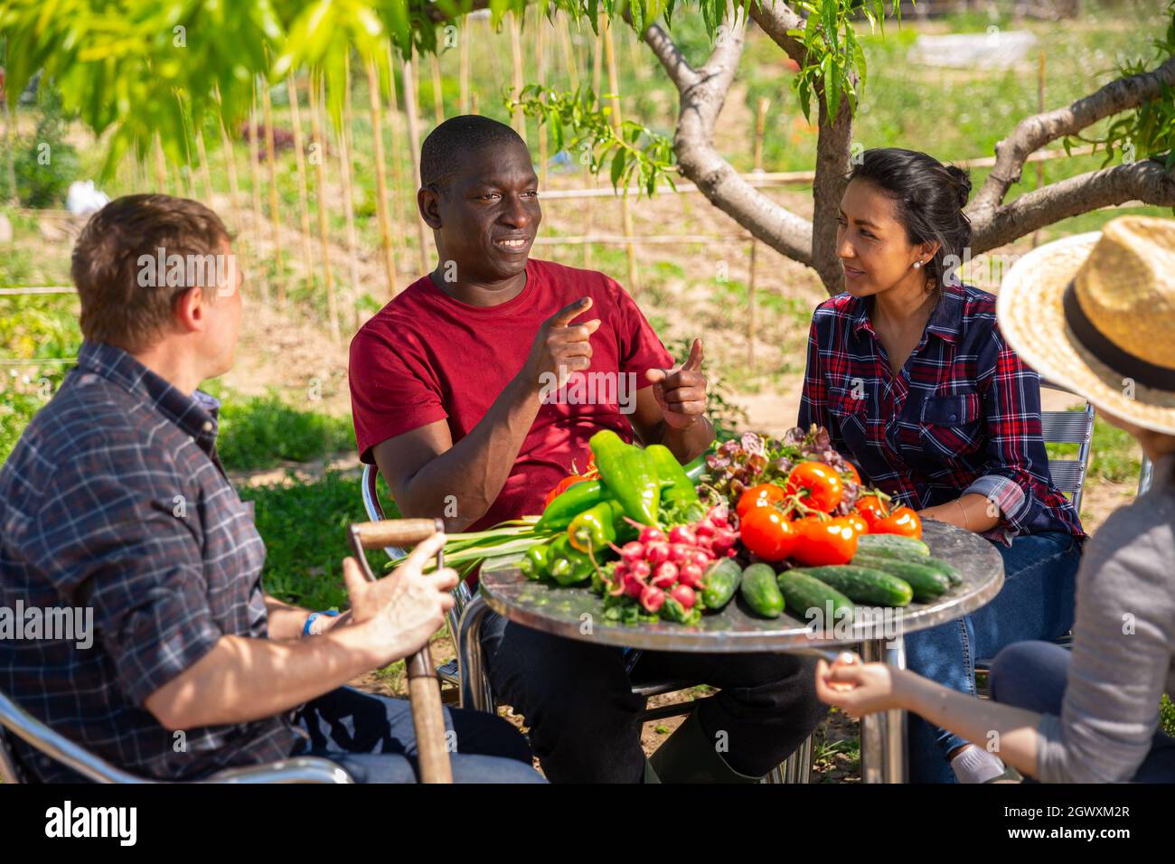 Good friends have conversation at table in backyard of village house ...