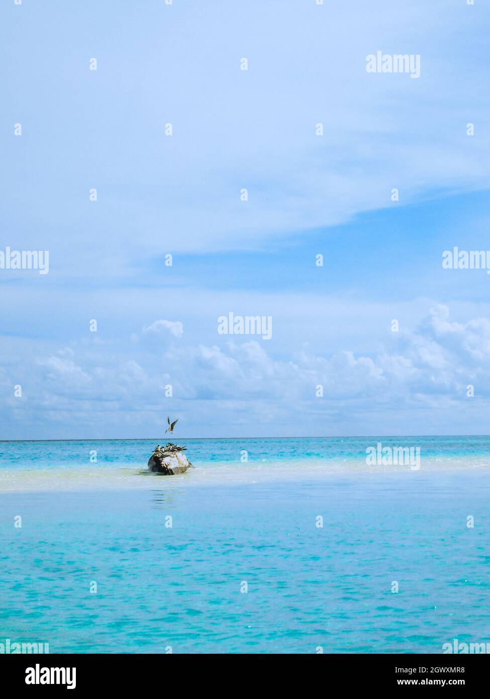 Tubbataha reef natural park hi-res stock photography and images - Alamy