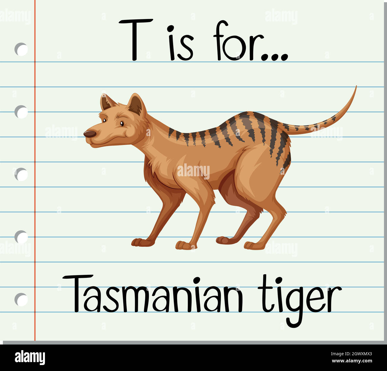 Flashcard letter T is for tasmanian tiger Stock Vector Image & Art - Alamy